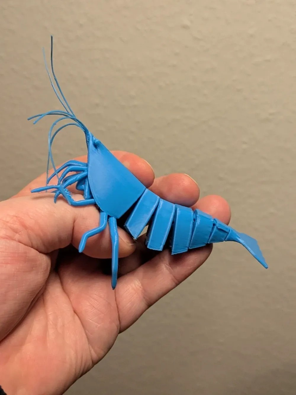 [Meow.Sensei] Seafood Model Movable Joint Shrimpware Toy | Shopee Malaysia