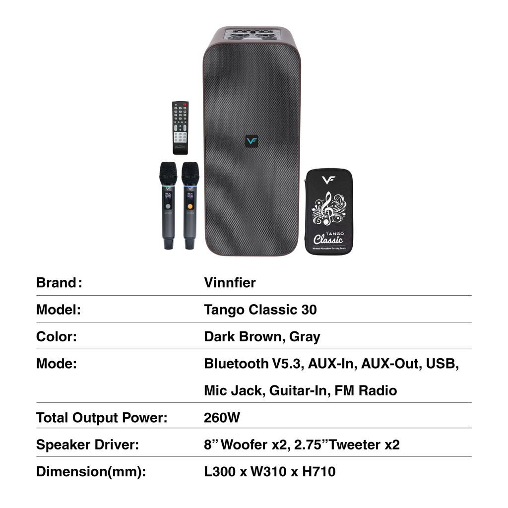 Vinnfier VF Tango Classic 30 260W Karaoke Bluetooth Speaker with 2 ...