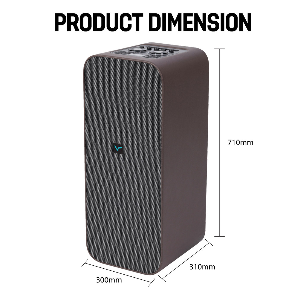 Vinnfier VF Tango Classic 30 260W Karaoke Bluetooth Speaker with 2 ...