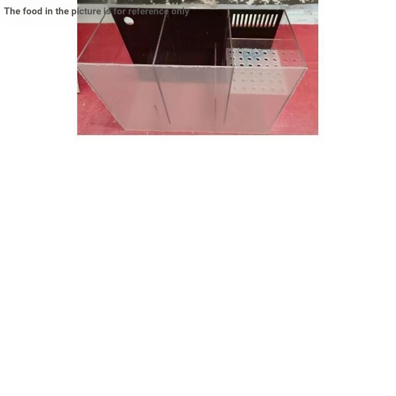 Customized Acrylic Fish Tank Back Filter Box/Filter Box/Back Plate/Fish ...