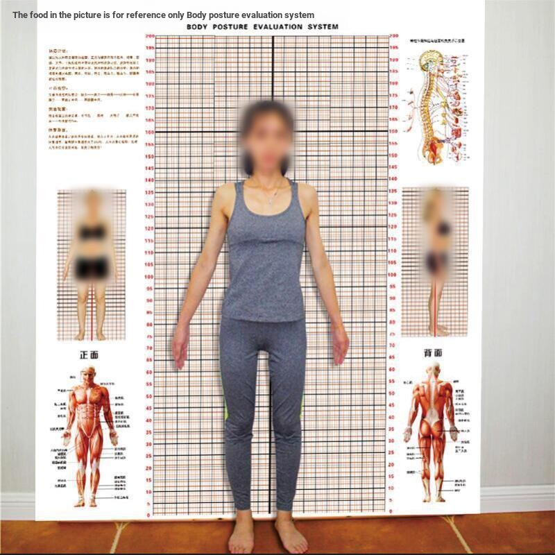 ((Posture Assessment Sheet) Wall Sticker Gym Posture Measurement Grid ...