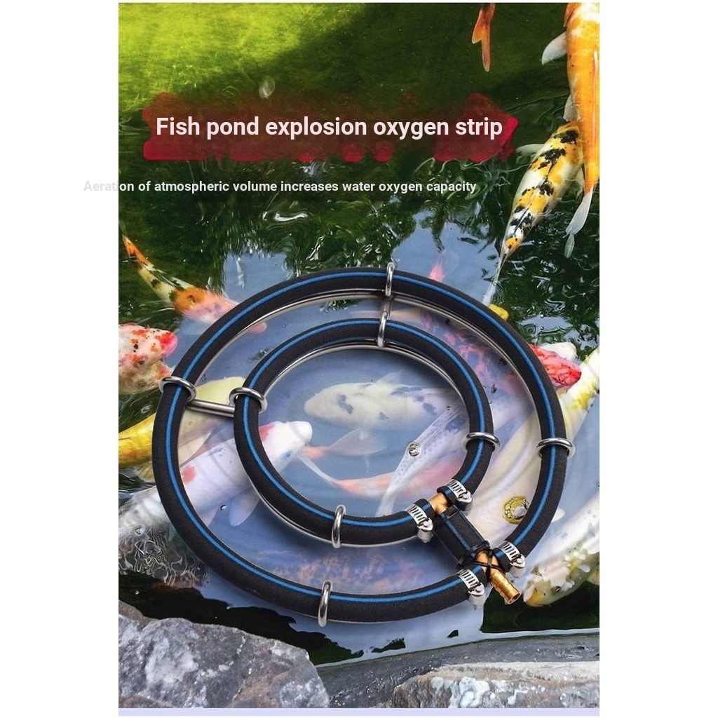 Fish Pond Stainless Steel Oxygen Ring Aeration Bubble Ring Nano Air ...