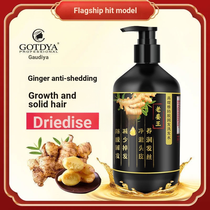 Gothia Old Ginger King Ginger Shampoo/Hair Growth/Anti-Hair Loss/Long Hair Density/Oil Anti ...