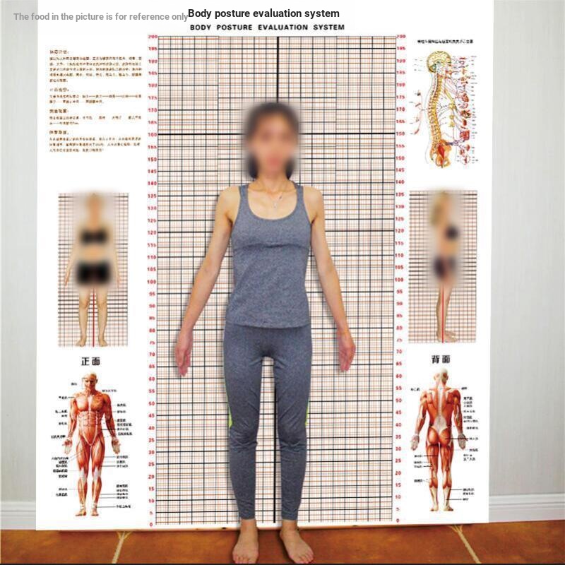 ((Posture Assessment Sheet) Wall Stickers Gym Posture Measurement Grid ...