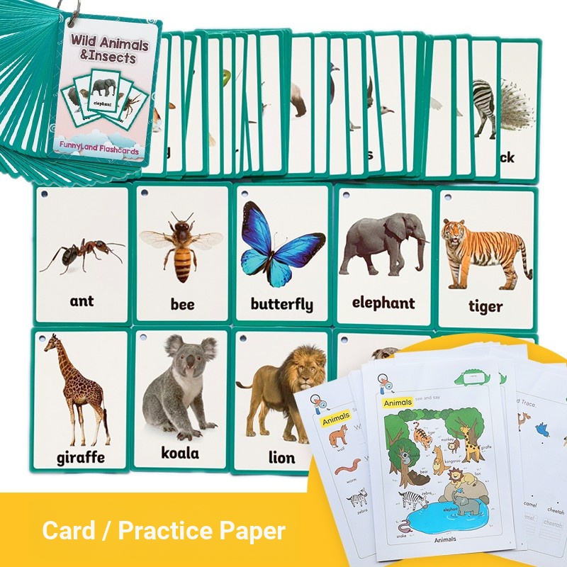 Wild Animals English Wild Animals Vocabulary Cards Young Children ...
