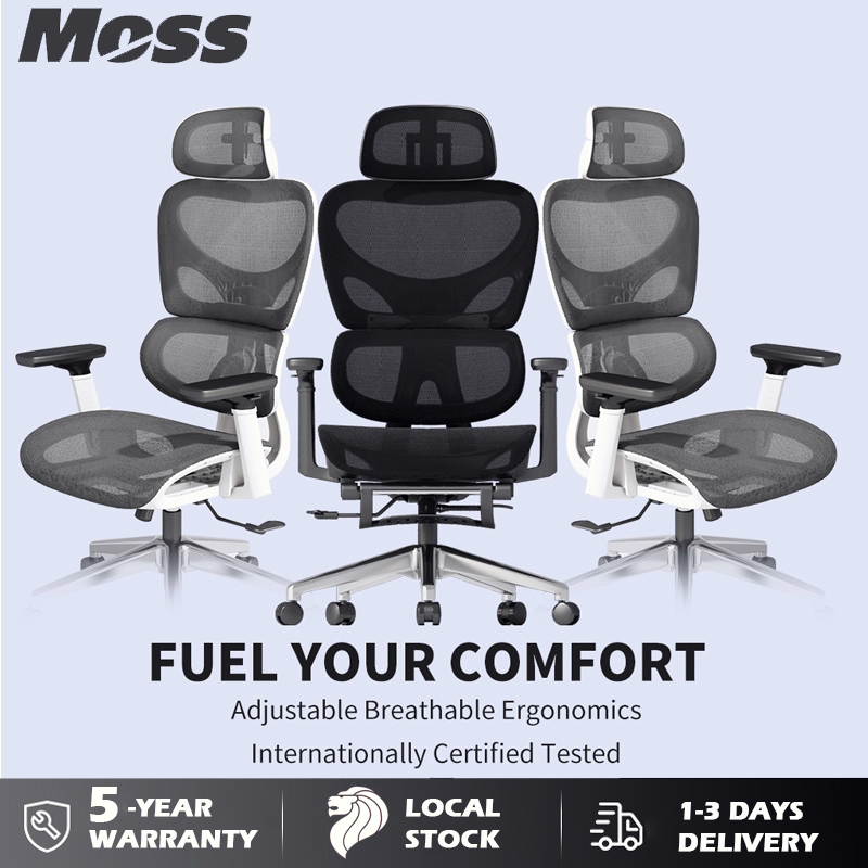 MER Lumbar CAN Office Moss Ergonomic Support, Mesh Desk with 4D ...