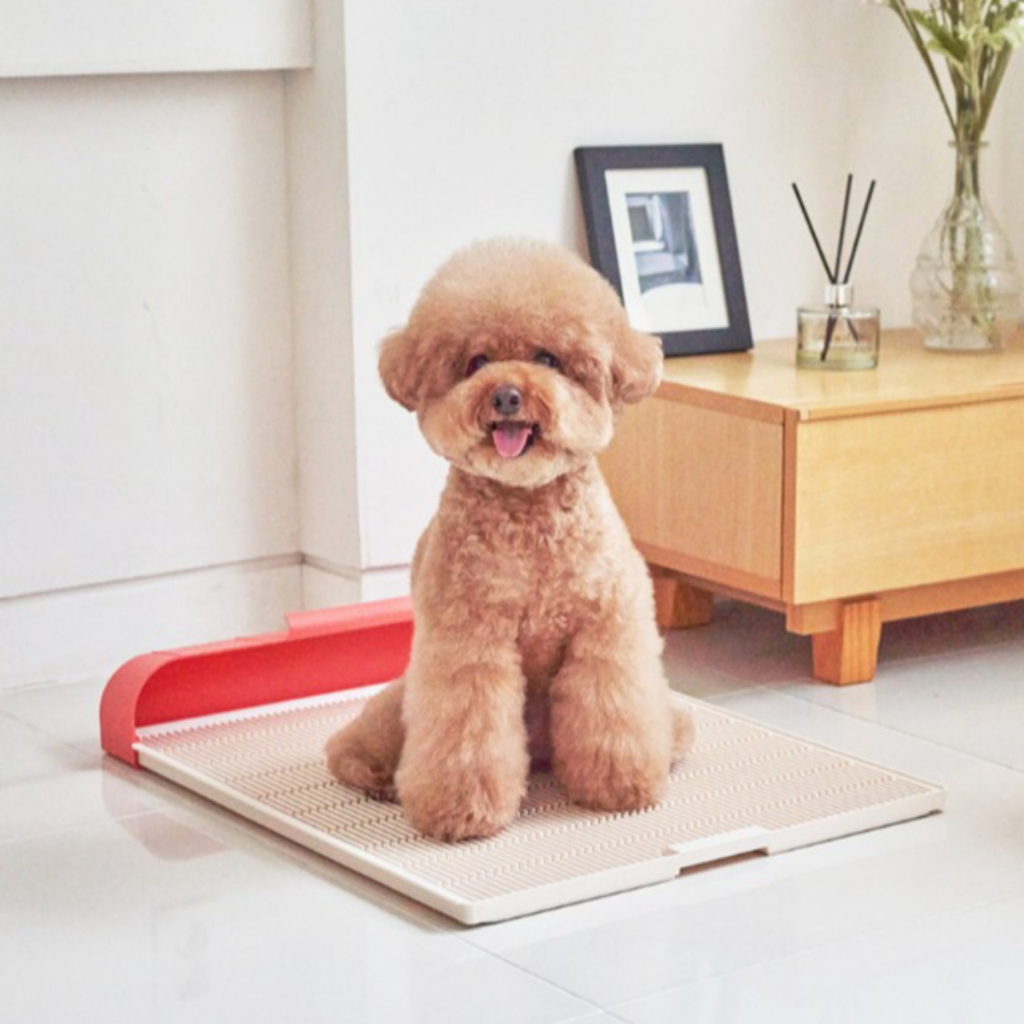 Monomog Swing Dog Toilet Plate Potty Training Pad Holder Tray Reusable Potty / from Seoul, Korea ...