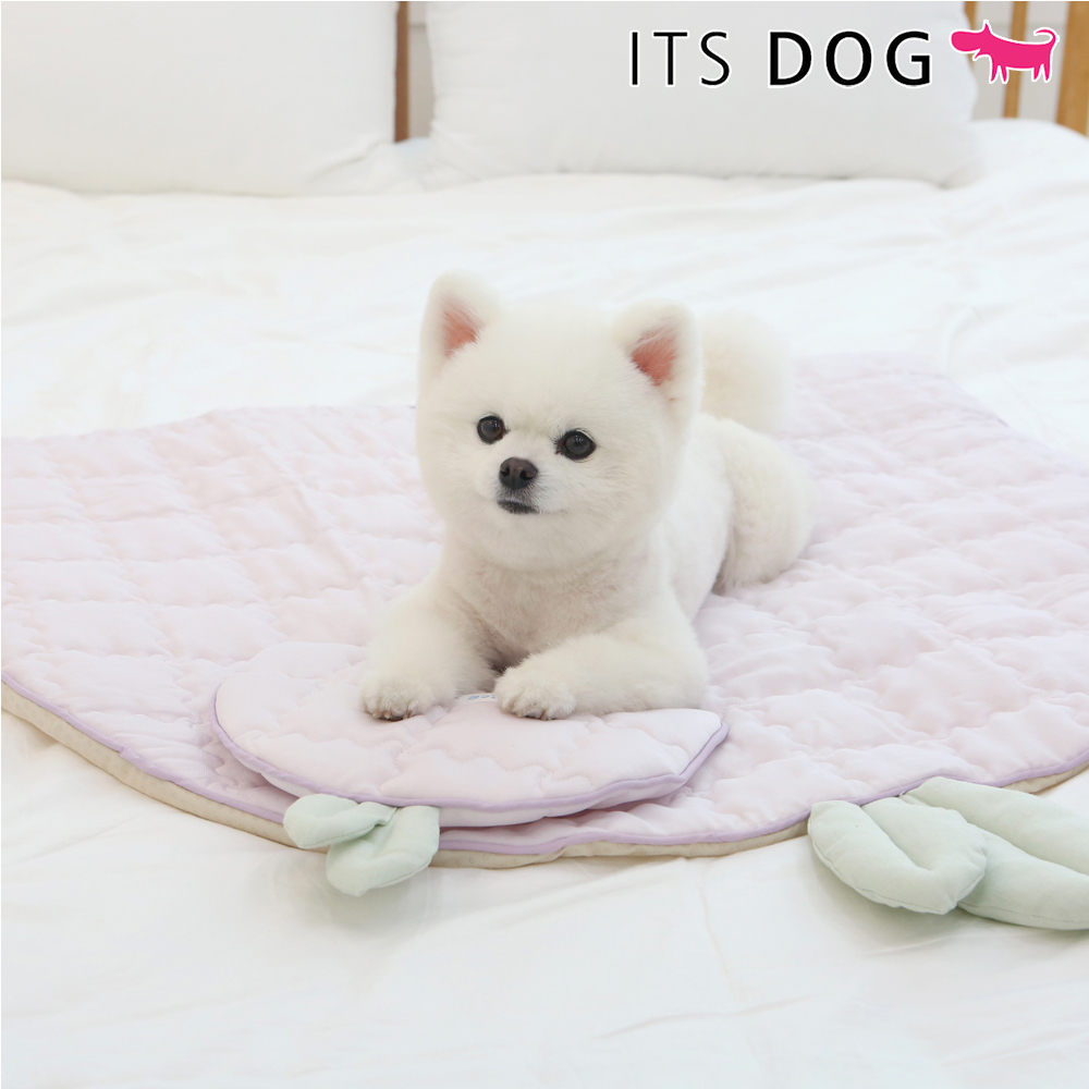 [DOG COOLING MAT MADE IN KOREA] ITSDOG Rayon Fruits Cooling Mat Set (3 ...