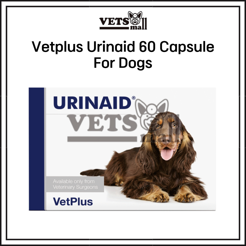 [VetPlus] URINAID for Dogs (60 Tablets) / for Urinary Tract Infections ...
