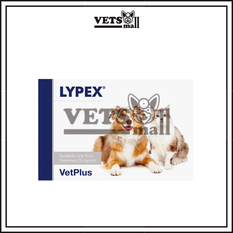 [VetPlus] LYPEX 60 Capsules for Dogs & Cats / Dog and cat intestinal ...