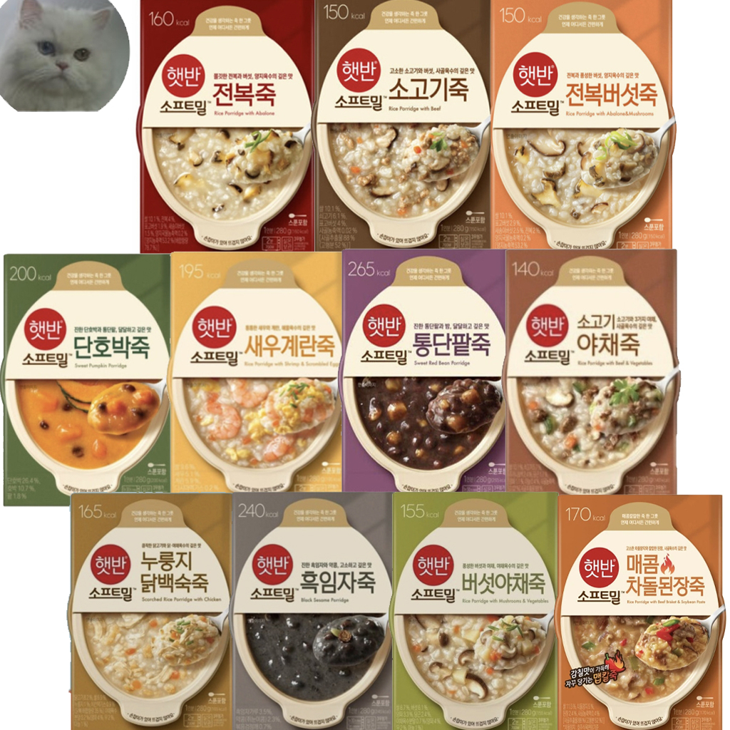 CJ BIBIGO Collection Korean Soup Korean Porridge 280g | Shopee Malaysia