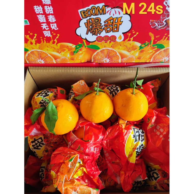 中国春见耙耙柑Chun Jian Papa Mandarin春见粑粑柑XL/XXL | Shopee Malaysia