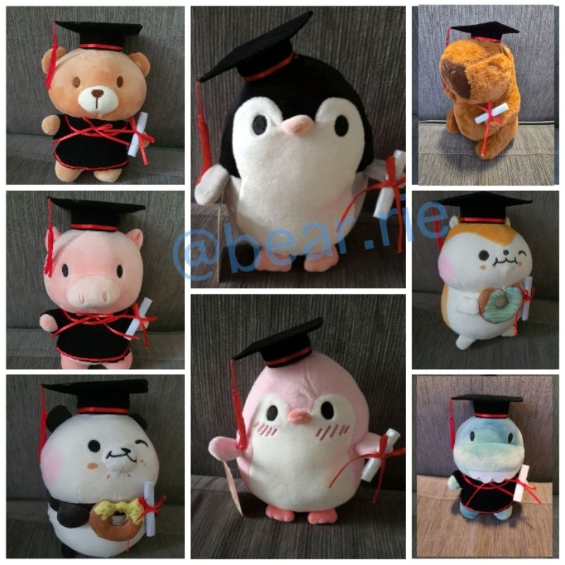 CapyBara Zoo animal dinosaur hamster graduation bear grad bear ...