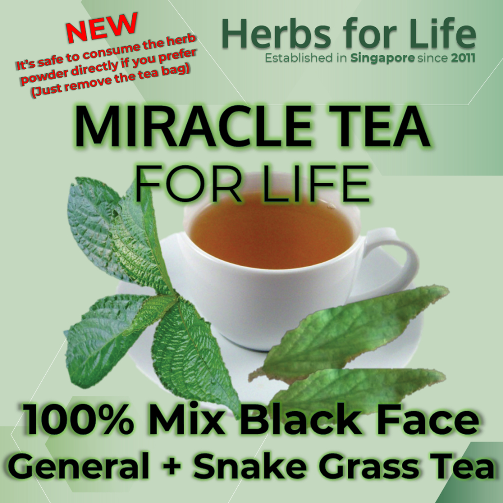 Miracle Tea for Life: 100% Mix Black Face General + Snake Grass Tea ...