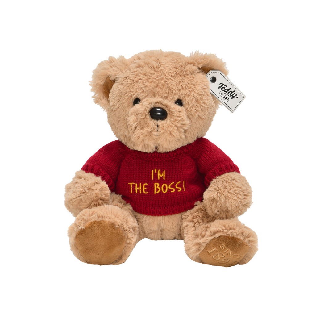 TEDDY ISLAND TEDDY BEAR MESSAGE BEAR | Shopee Malaysia