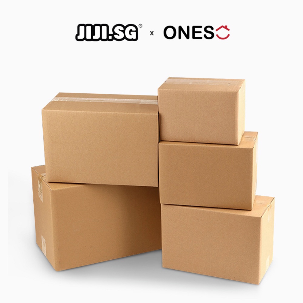 x ONES) PACKAGE Carton Box - 4 sizes / Packing Box / Cardboard Box ...