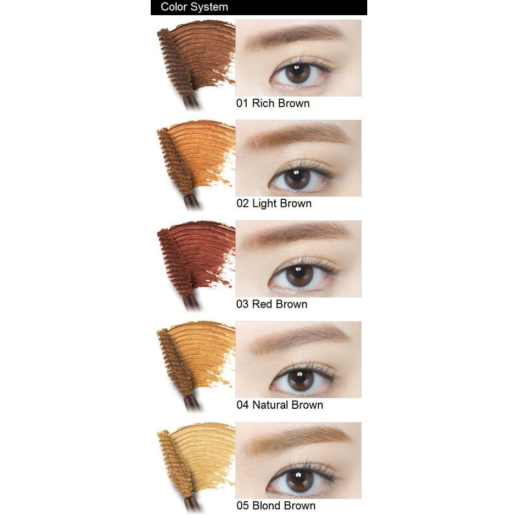 Etude House Color My Brows 4.5g / 9g | Shopee Malaysia