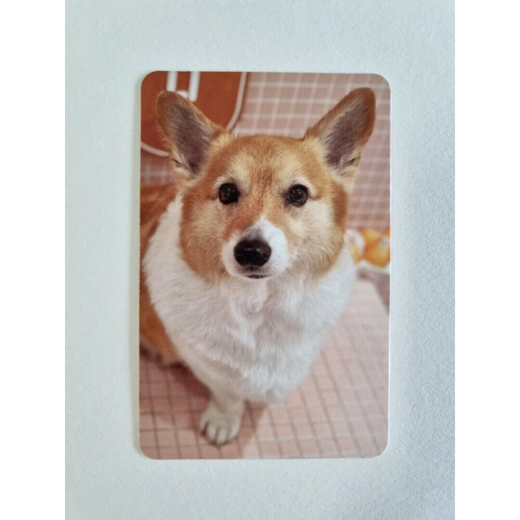 Baekhyun TEO-LAE-GI ZIPDURI Teolaegi MD Lucky card Mongryong Official ...