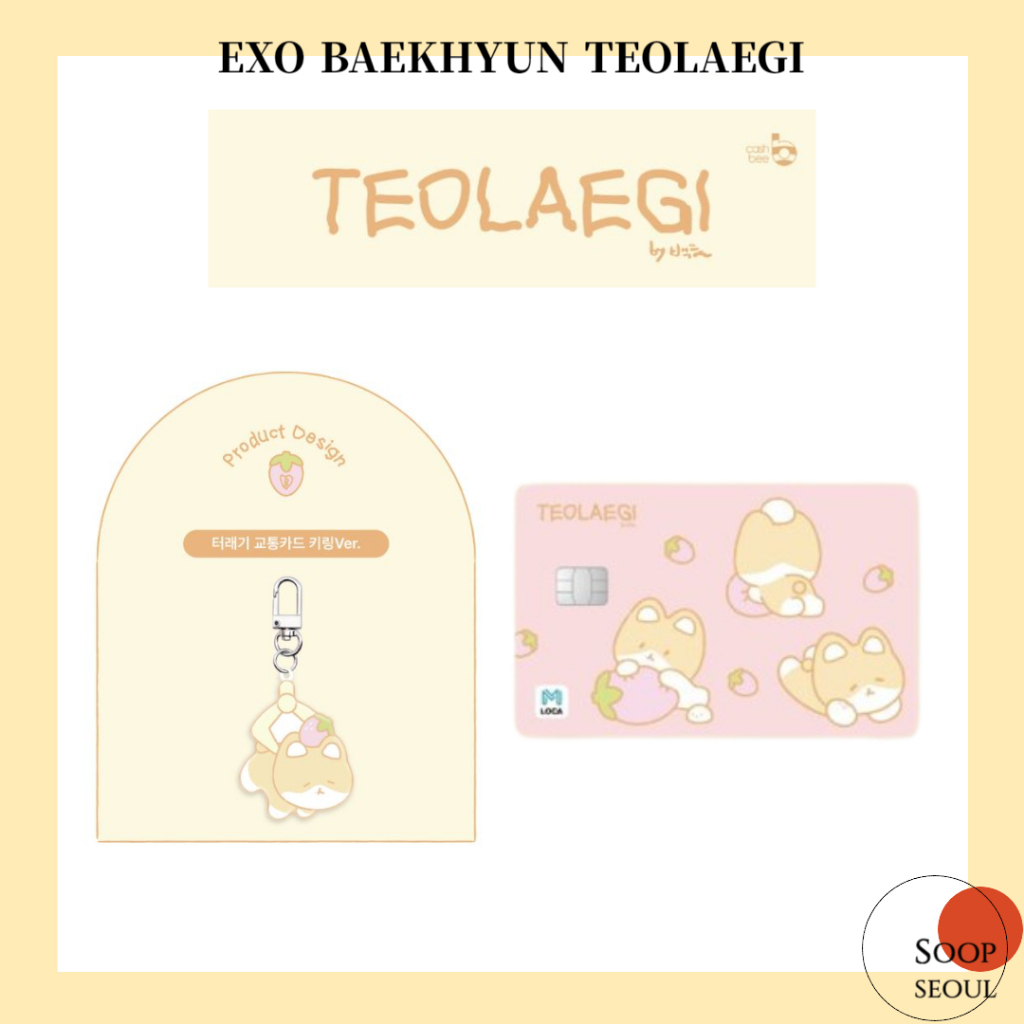 EXO BAEKHYUN TEO-LAE-GI LOCAMOBILITY CARD KEYRING / teolaegi | Shopee Malaysia