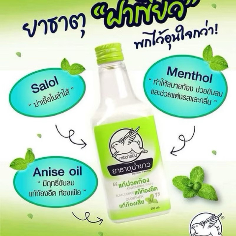 Flying Rabbit Mist Salol ET Menthol 200ML Ubat Angin Gastrik Thai ...