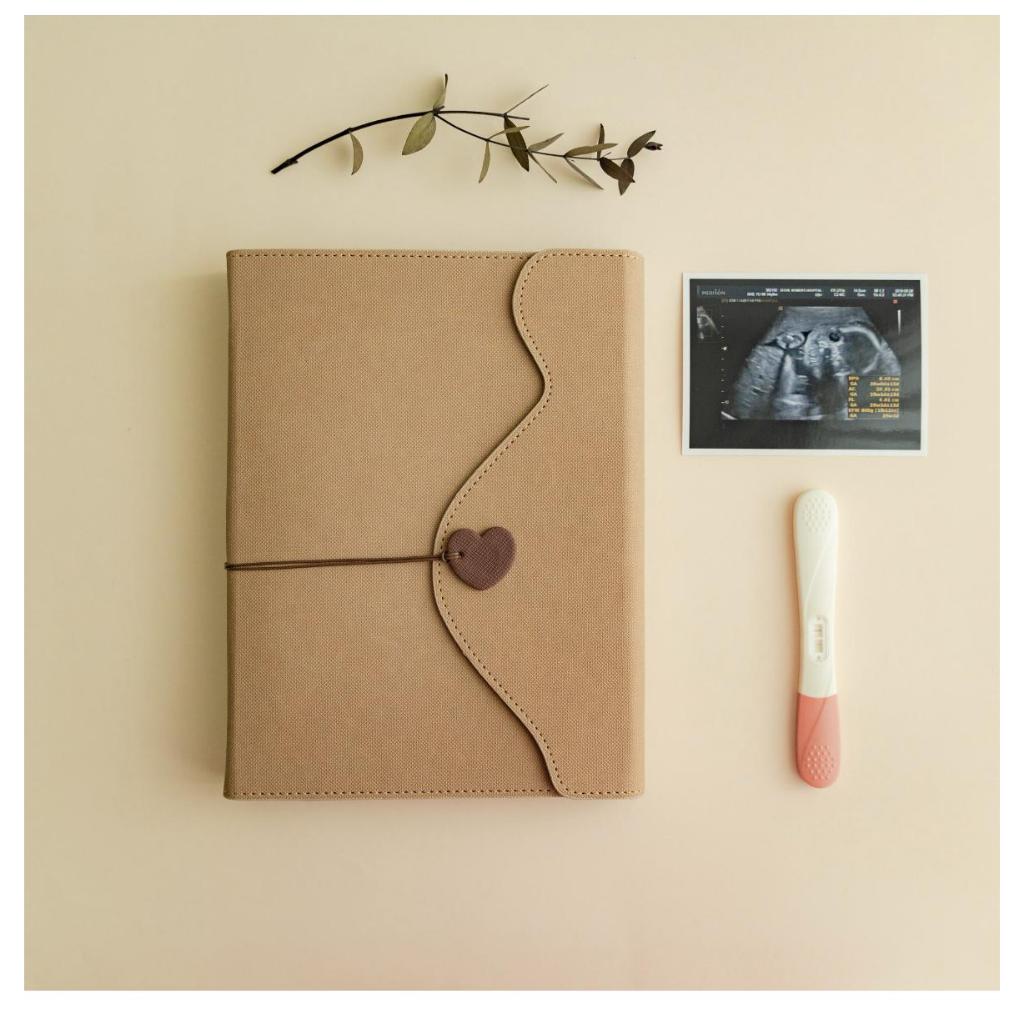 [Made in Korea] Pregnancy Diary Ultrasound Album / A Must-have Gift for ...
