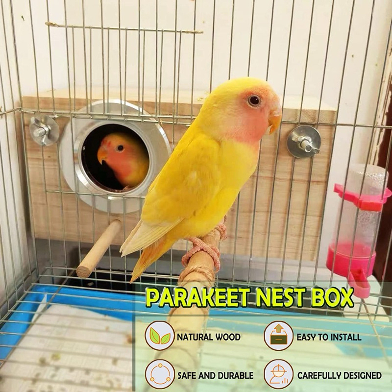 Solid wood breeding box, parrot nest box,Bird's House, 4 size,bird nest ...