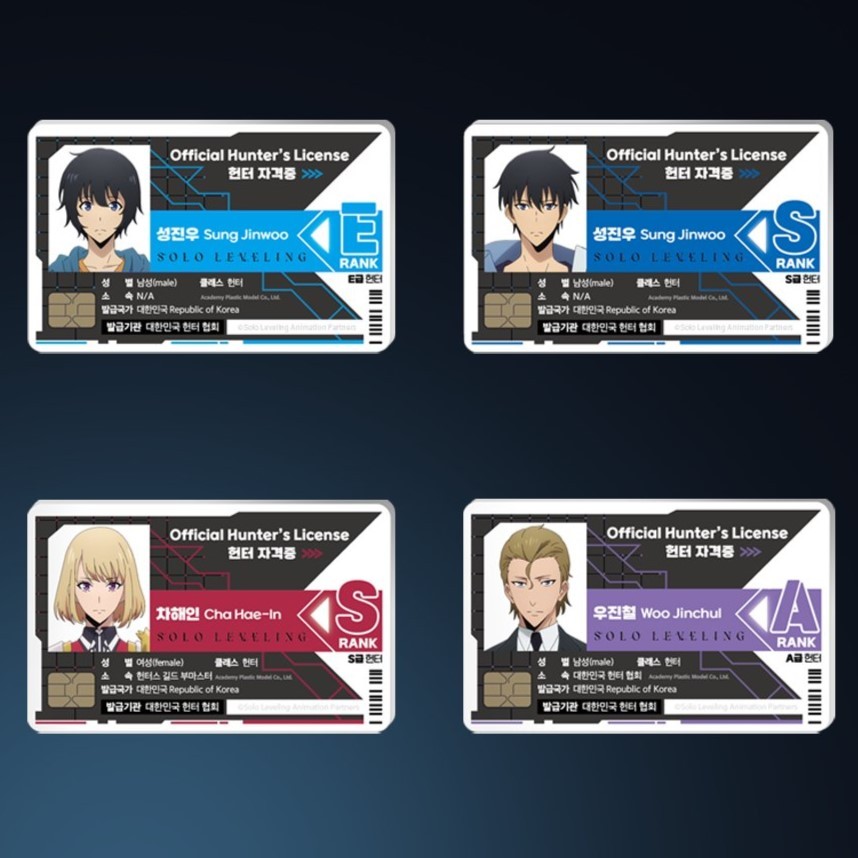 Solo Leveling Hunter's License, Solo Leveling Official Merch | Shopee ...