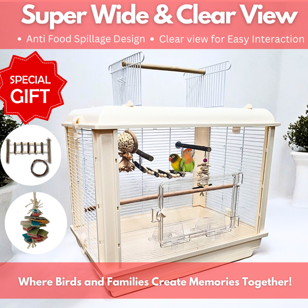 Local Supplier - Bird Cage | Parrot Cage Premium Luxury Bird Cage for ...