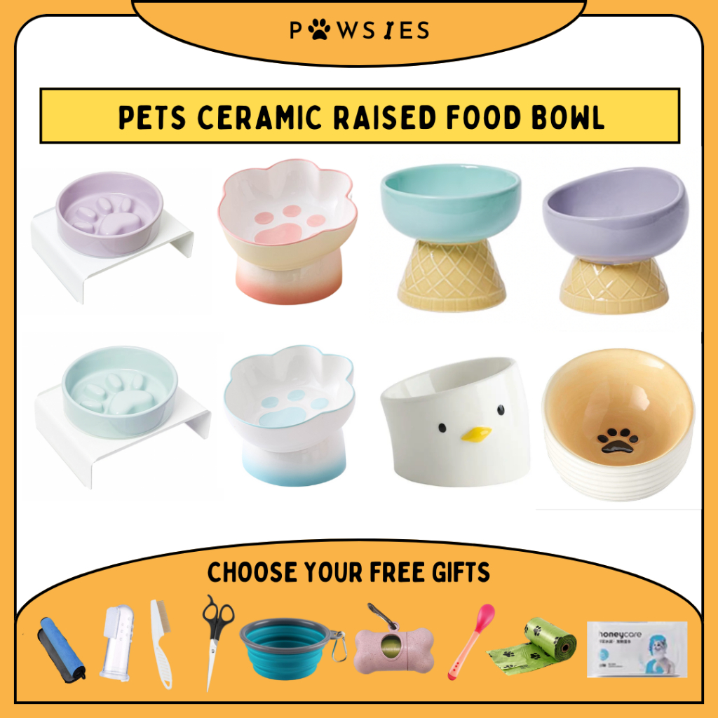 Pets Elevated Tilted Ceramic Food Water Kibble Raised Feeder Bowl lead ...