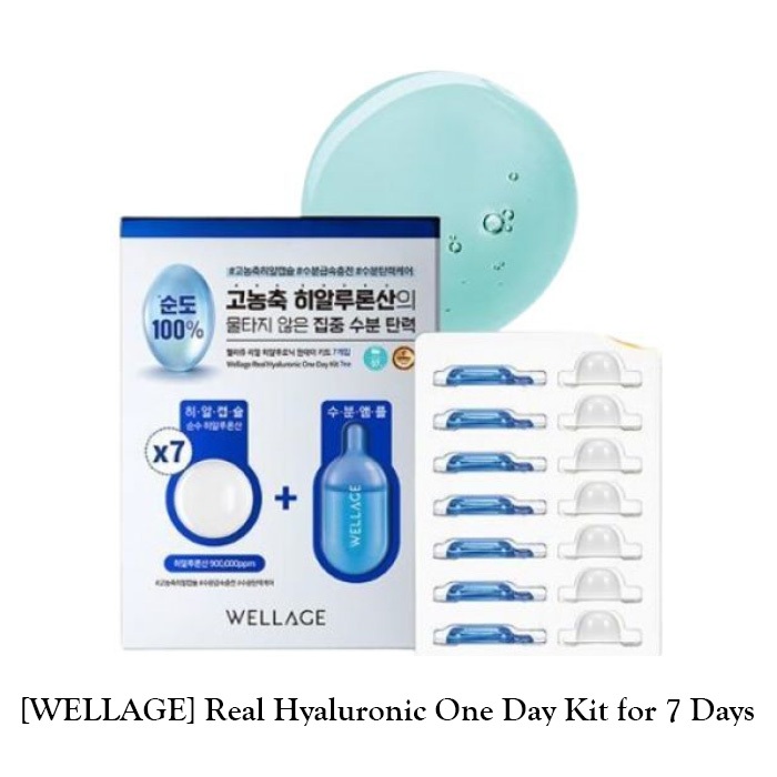 [WELLAGE] Real Hyaluronic One Day Kit for 7 Days / K-BEAUTY | Shopee ...