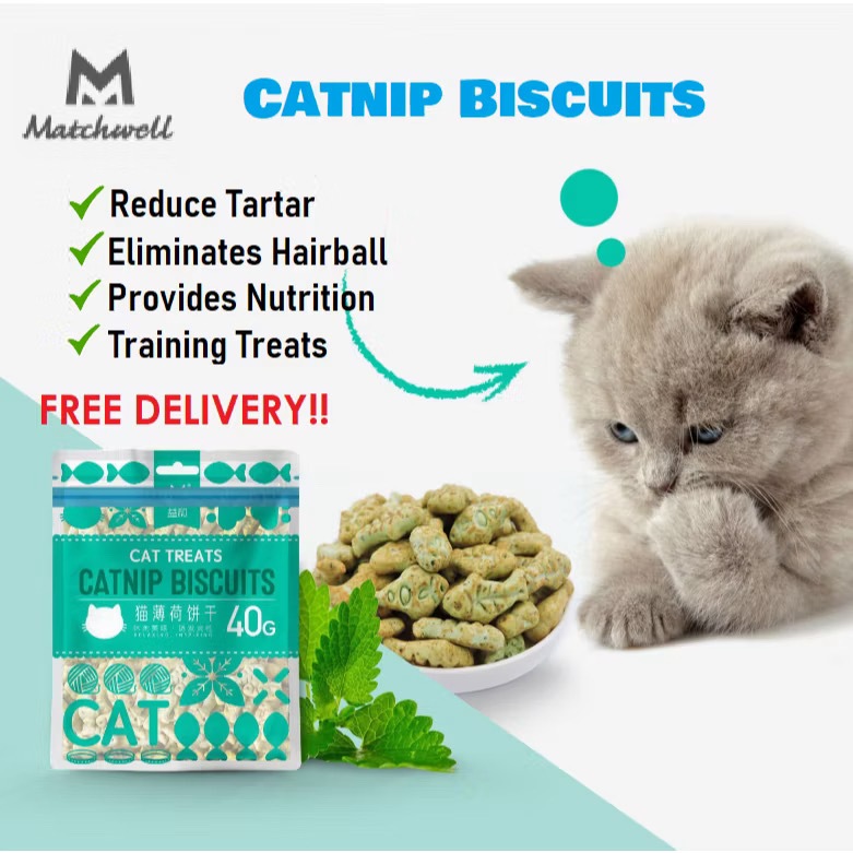 Cat Biscuit High Nutrition Cat Treats Cat Food Catnip Biscuits Cat ...