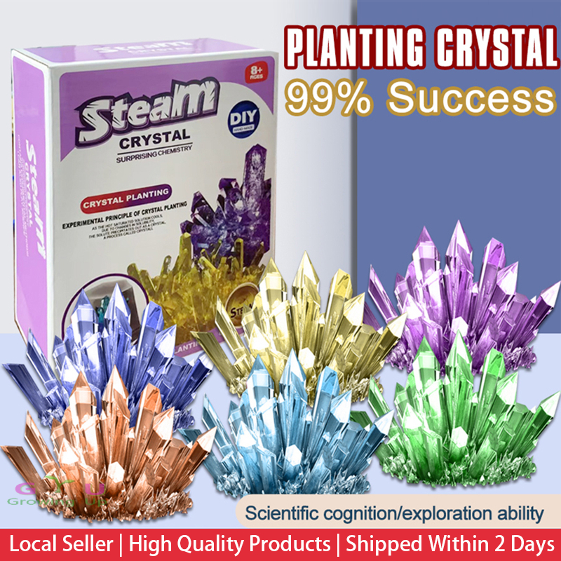 GU DIY Crystal Growing Kit Crystal Growth Experiment Set Tree Chemical ...