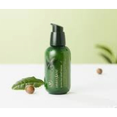 Beauty Essense Gitago [Ginkgo leaf] Ship From Korea Original | Shopee Malaysia