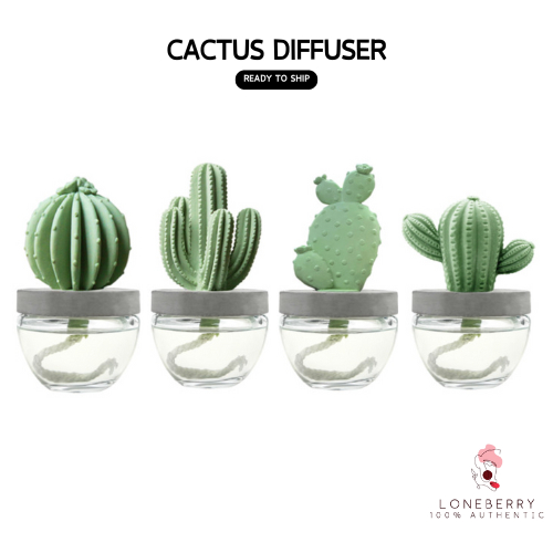 AROMACO Cactus Diffuser 4 Types 100ml | Shopee Malaysia