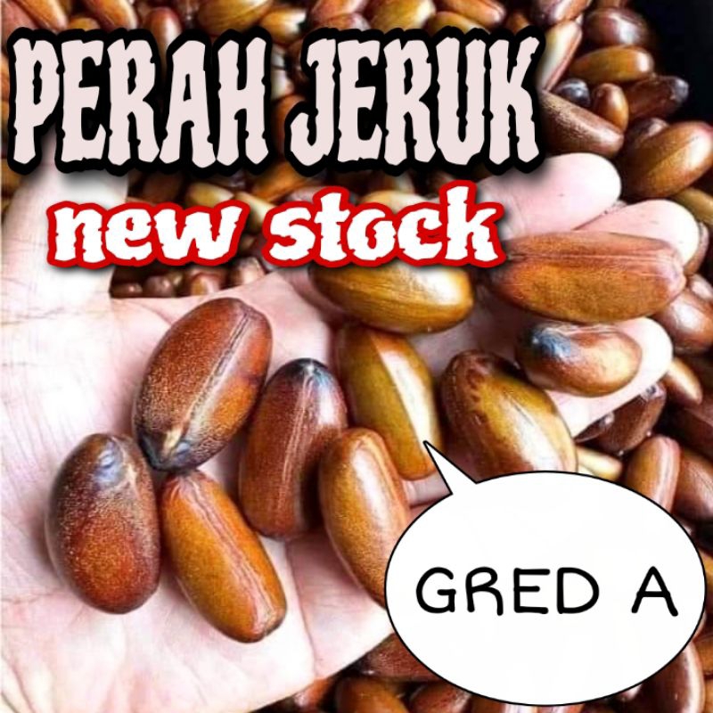 BUAH PERAH JERUK BOLEH MAKAN TERUS 500G | Shopee Malaysia
