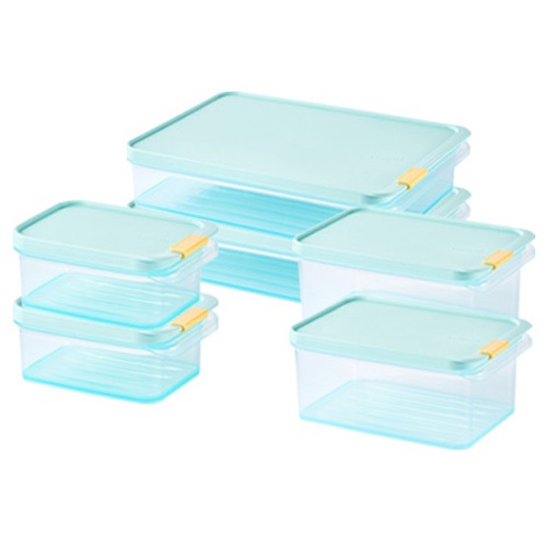 6PCS LocknLock Freezer Fit 6 piece set Containers Case for freezer ...