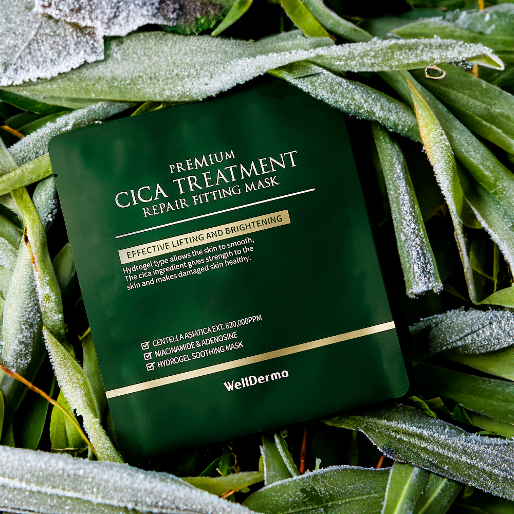 [Official Mall]WellDerma Premium Cica Treatment Repair Fitting Mask 4 ...