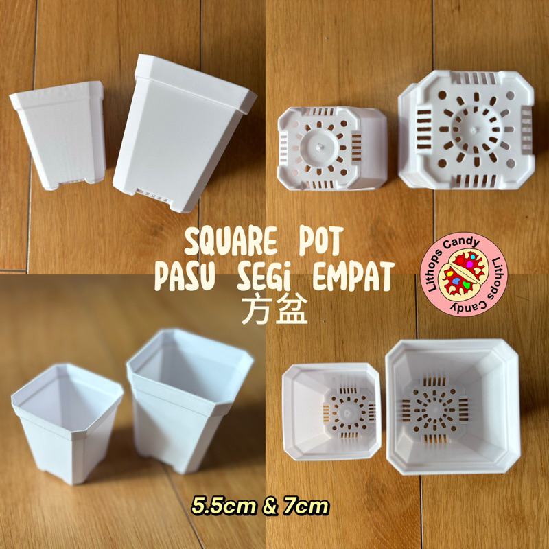 Square White Plastic Pot Pots 白色塑料方盆 Pasu Plastic Putih Segi Empat ...