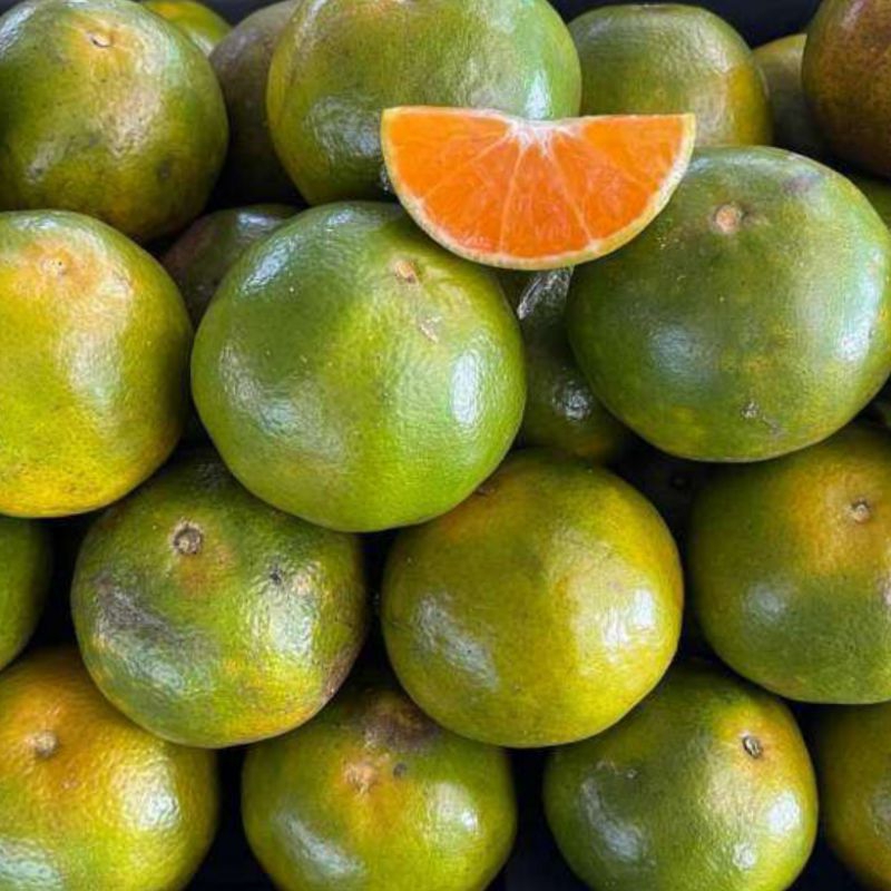 Buah Limau Madu Segar 1kg | Shopee Malaysia