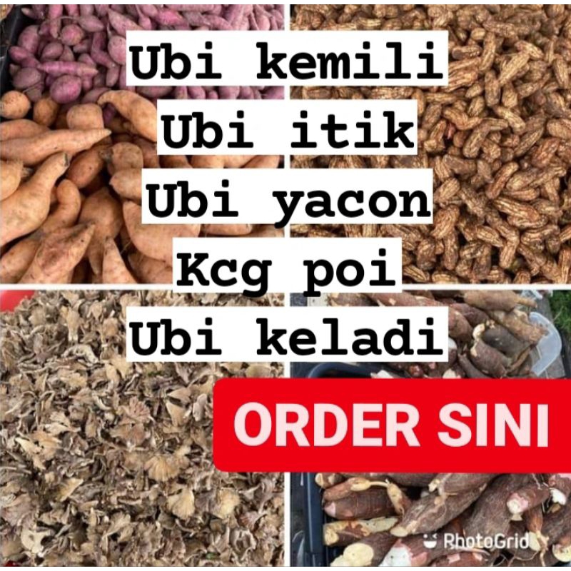 READY STOCK 1 KG UBI KEMILI YACON YAKON KACANG POI UBI PURPLE itik UBI ...