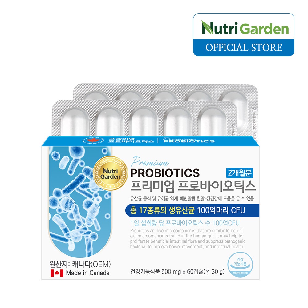 Premium Probiotics 60 Capsules 10 Billion Probiotics intestinal health ...