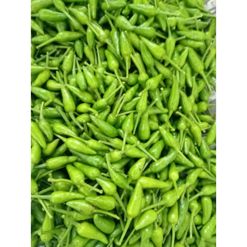 Cili kampung /cili centil fresh/centil merah | Shopee Malaysia