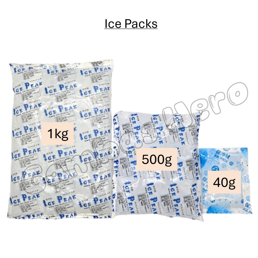 Ice Pack Ice Gel 40g | Shopee Malaysia