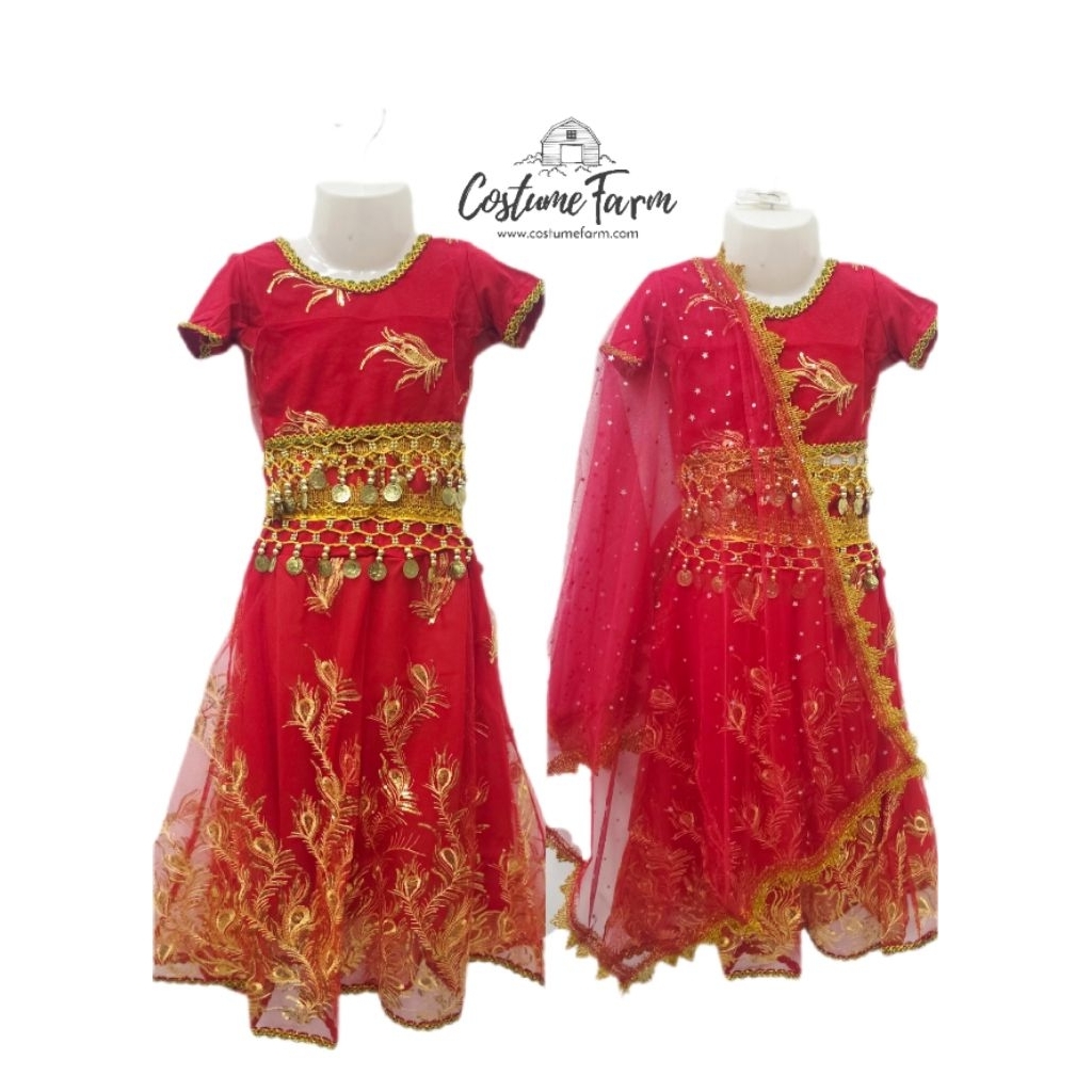 5 pc set Indian Girl Costumes kid's saree for deepavali/Racial Harmony ...