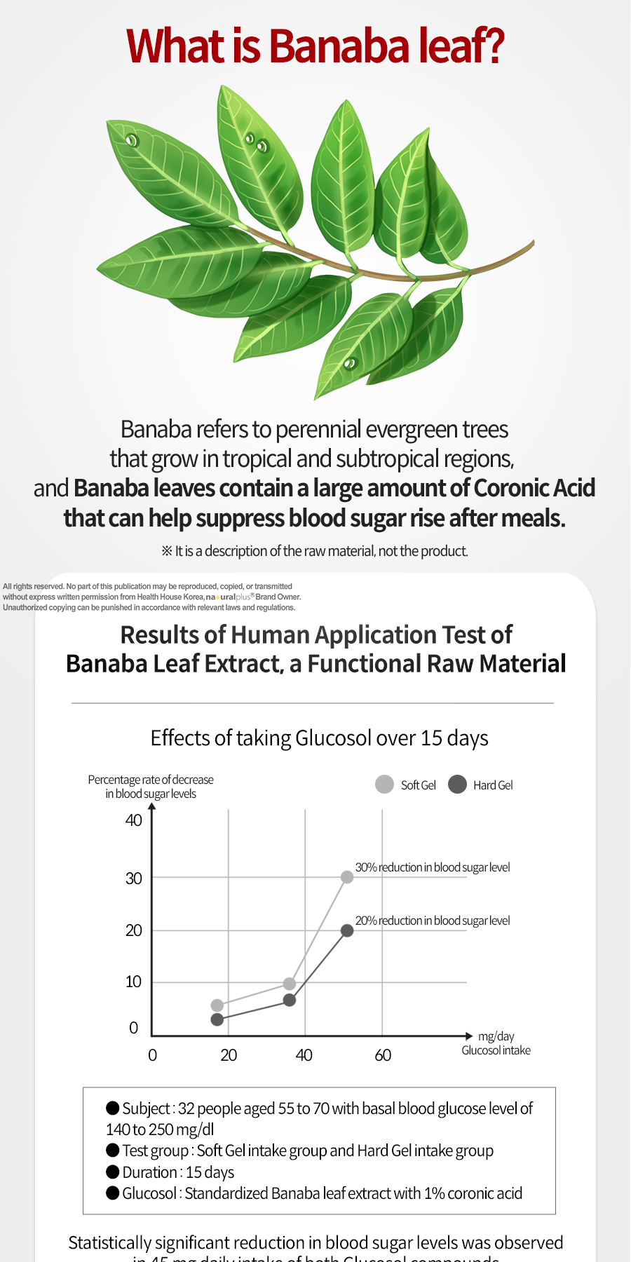 NATURALPLUS Korea Blood Sugar Health Banaba Leaf extract to Support ...