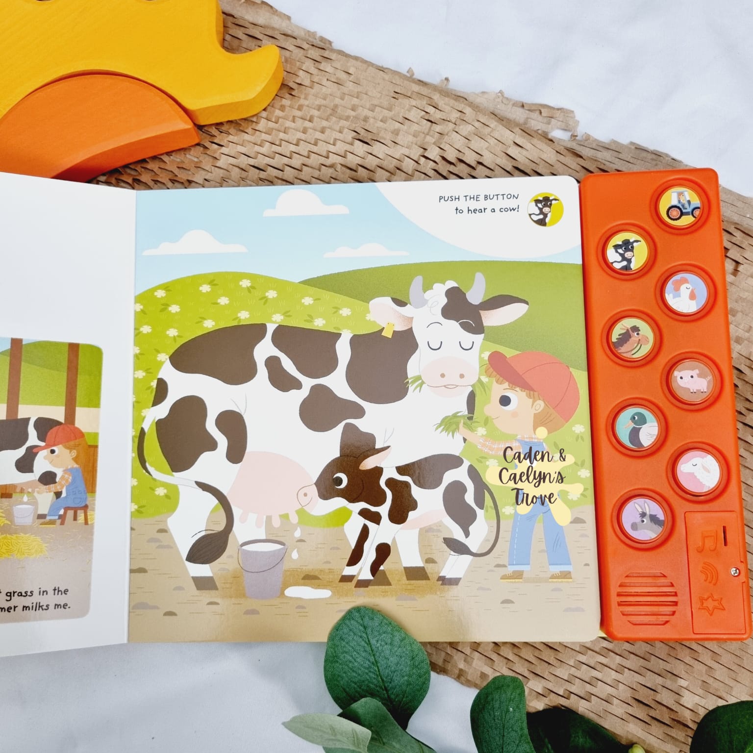 Fun and Engaging First Sound Book for Toddlers | Shopee Malaysia