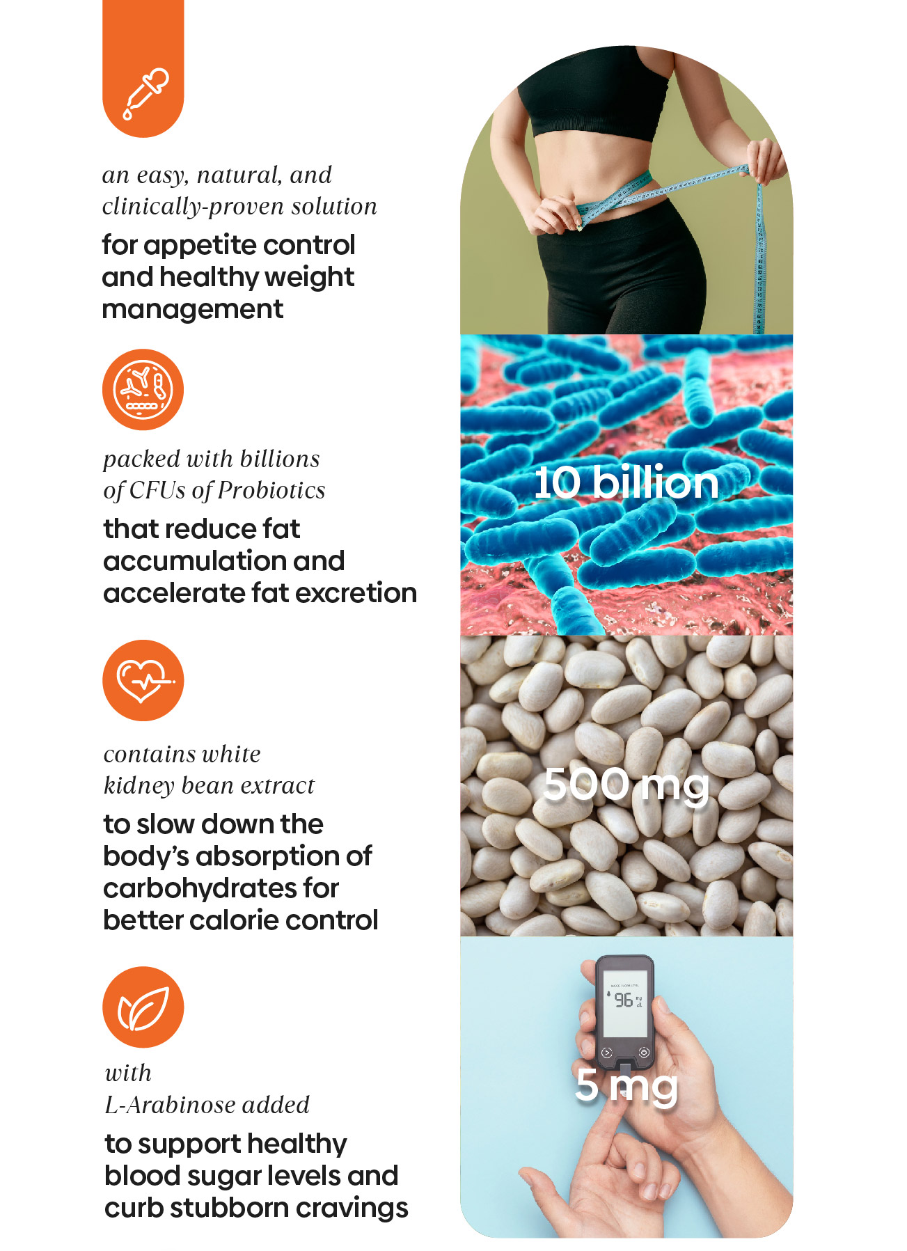 All Day Burn Bundle - Purest Co Sicilian Orange Slimming Elixir x Lean ...