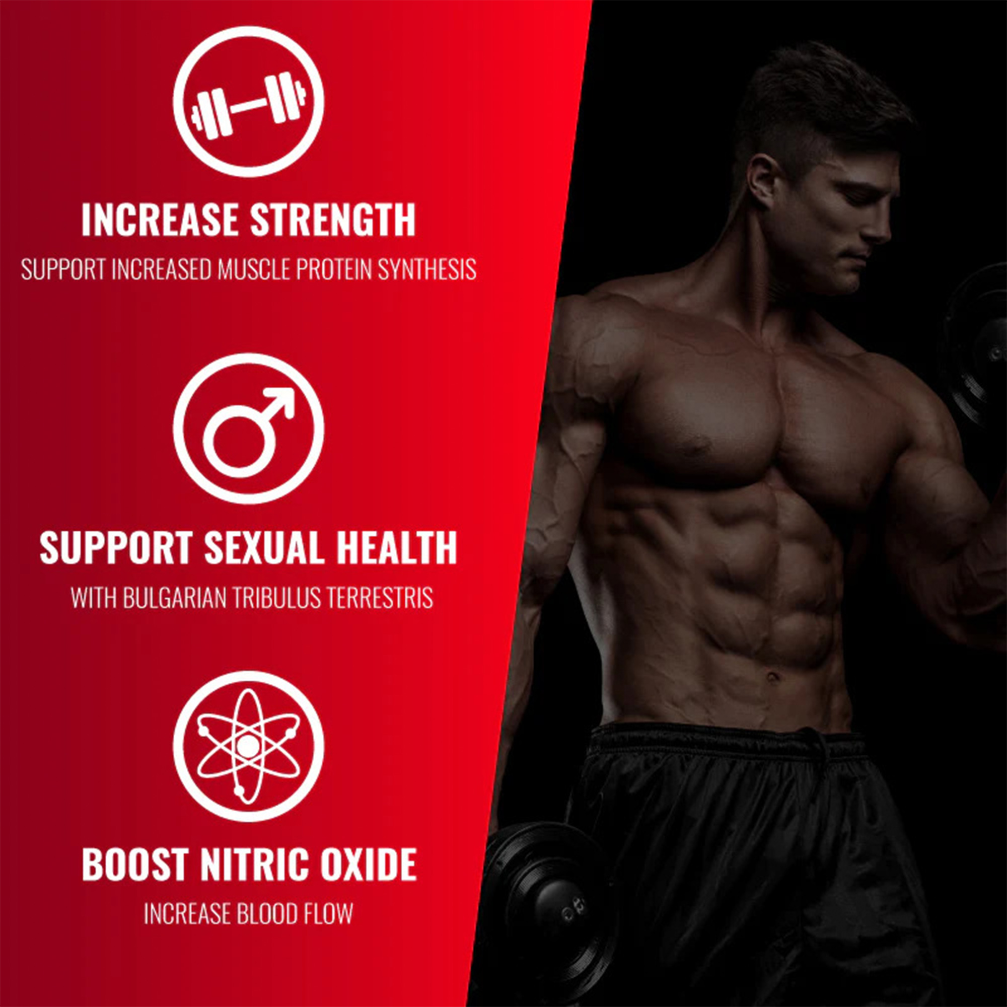 EC Sport Bulgarian Tribulus Testosterone Booster For Men + Nitric Oxide ...