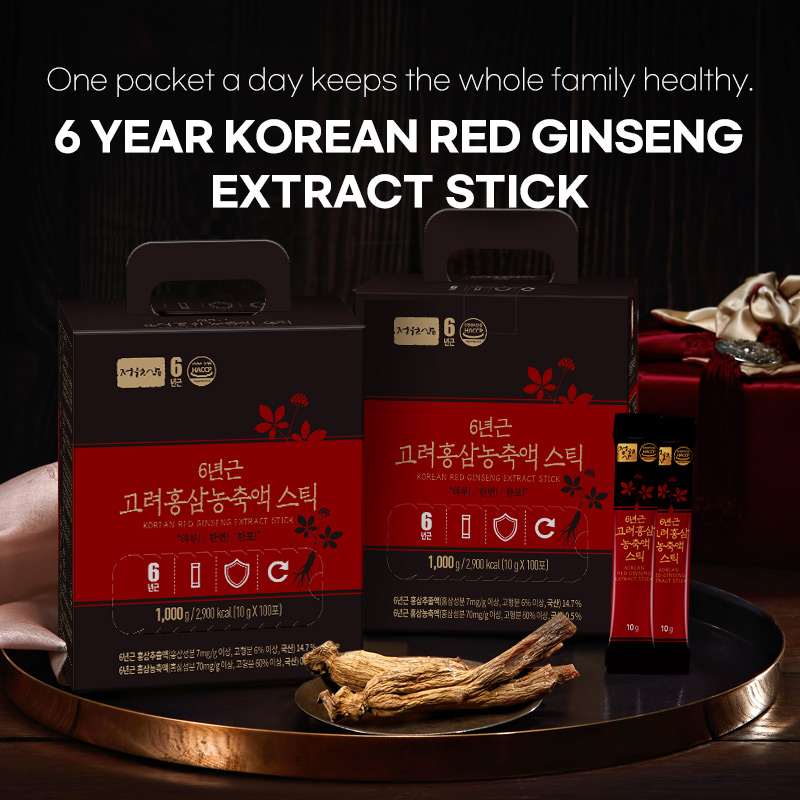 JUNGWONSAM Korean 6 Years Red Ginseng Extract Stick Korean Health Food ...