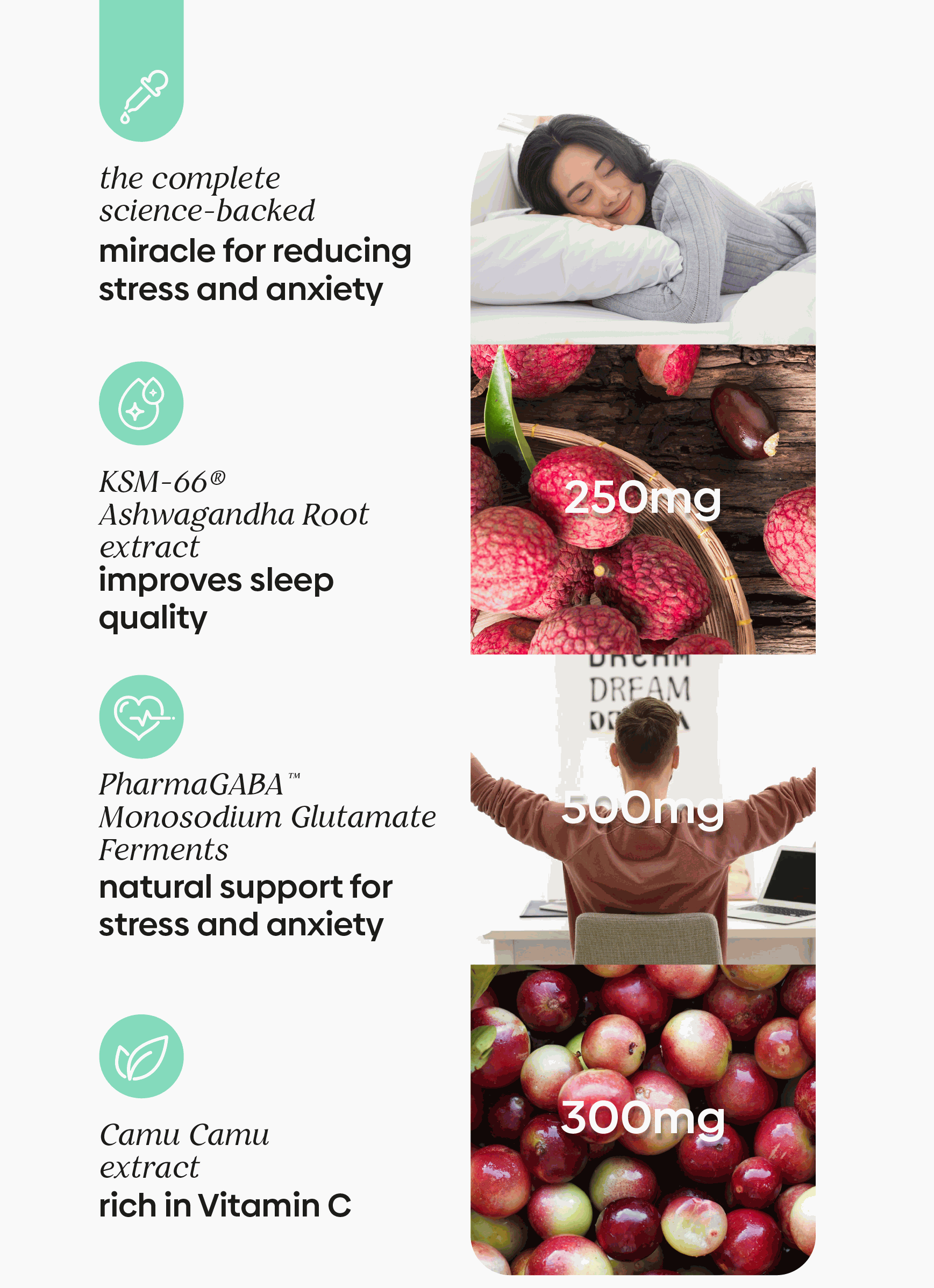 Purest Co Ashwa Lychee Drink - For Stress Relief, Anxiety & Sleep Aid ...